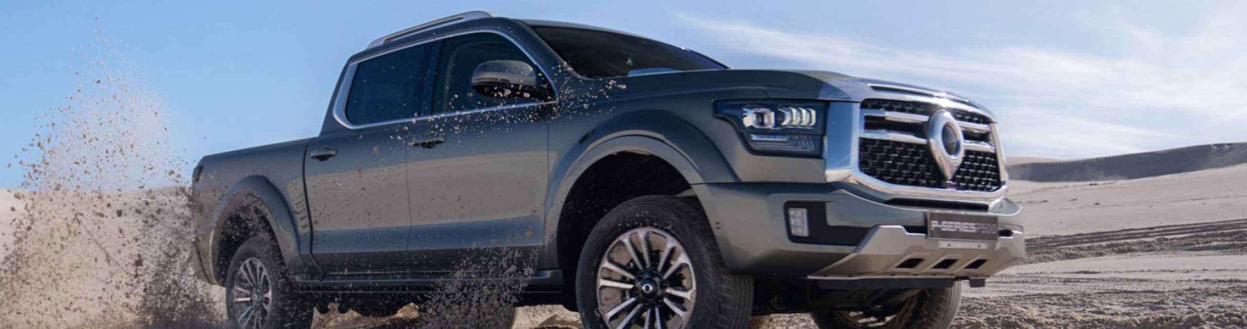 P-Series | GWM Edenvale